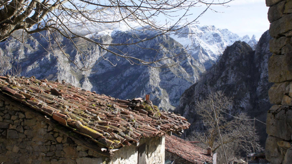 Ponga, propuesto a la Unesco para ser reserva de la biosfera