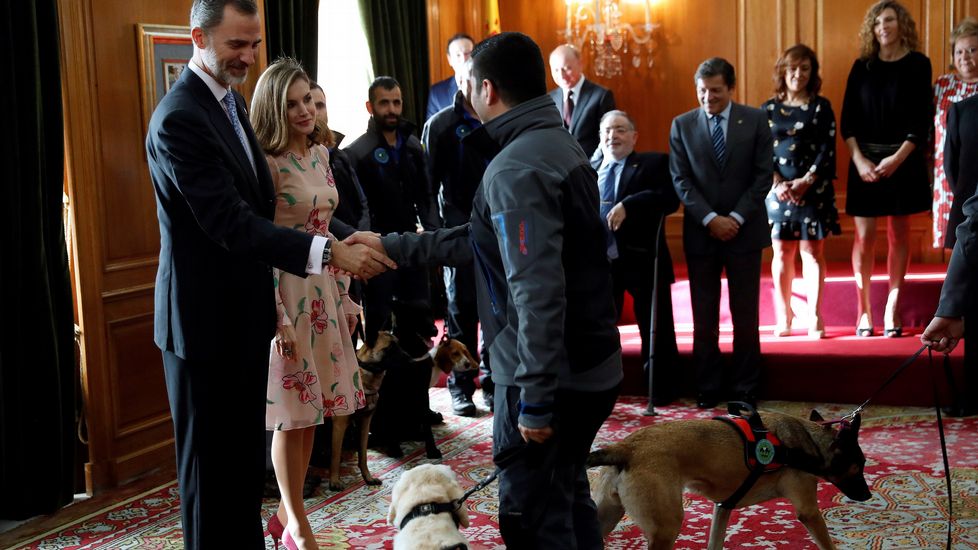 Saludo perruno en las audiencias reales