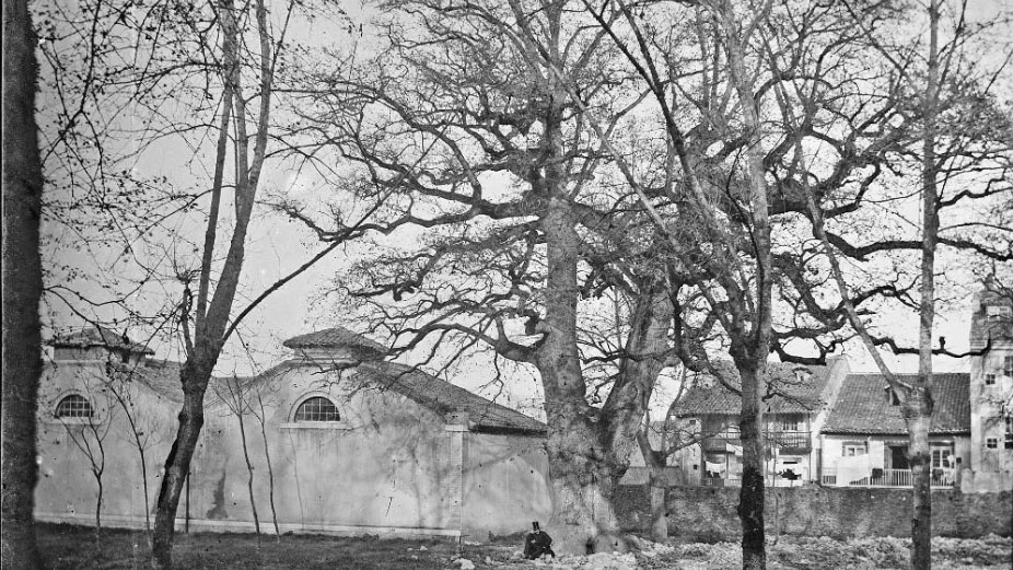 Así se convirtió el Carbayón en un símbolo ovetense