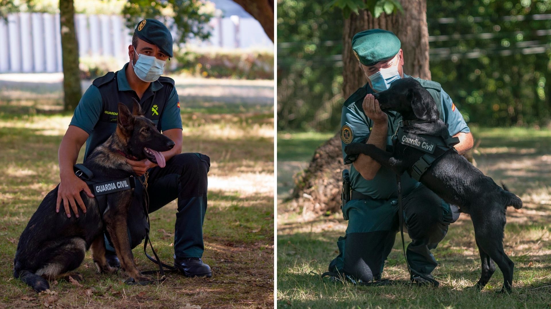 Urre y Urko se incorporan a la «familia» canina de la Guardia Civil de ...