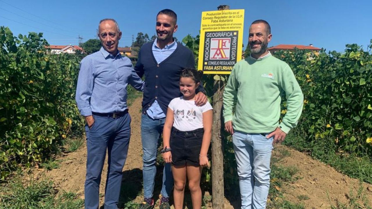 El secreto de la mejor faba de Asturias: «Es superfina y hay que ...