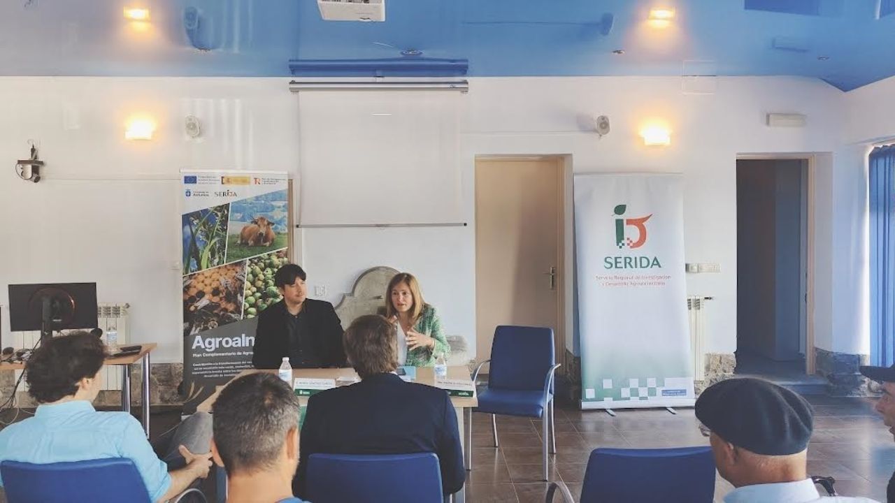 El Serida escueye y caracteriza trés variedaes d'escanda asturiana ...